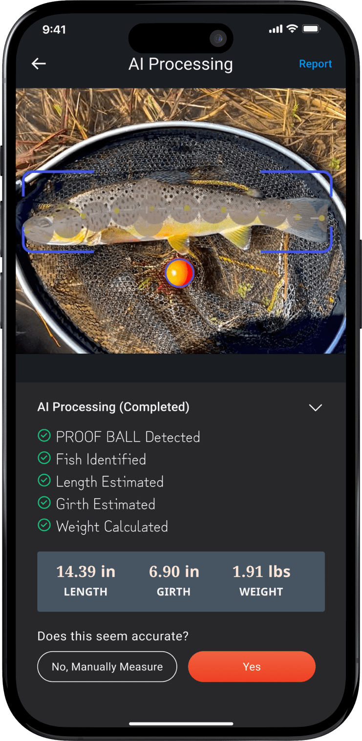 Fishtechy - Measure fish on the fly with AI.